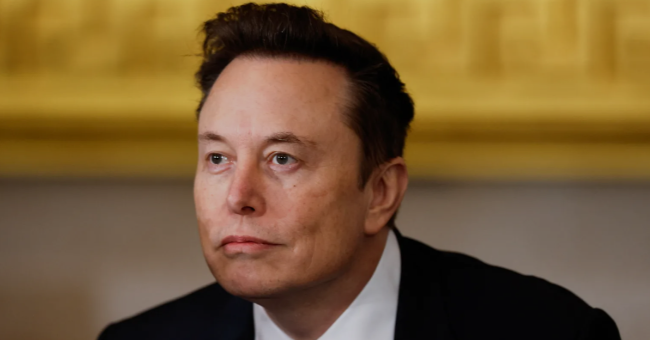 Elon Musk Social Security Fraud Scandal Unfolds